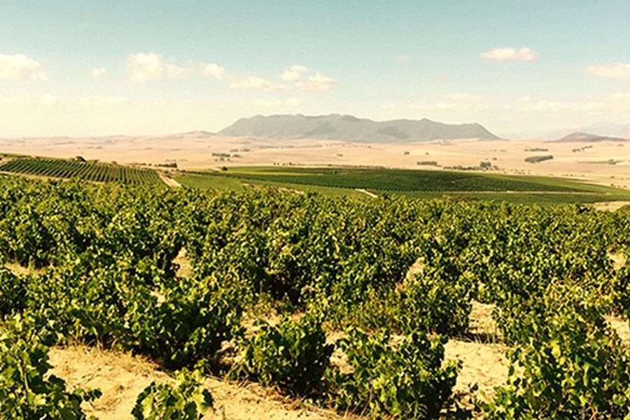 Rall White 2014 - Norske vinklubbers forbund